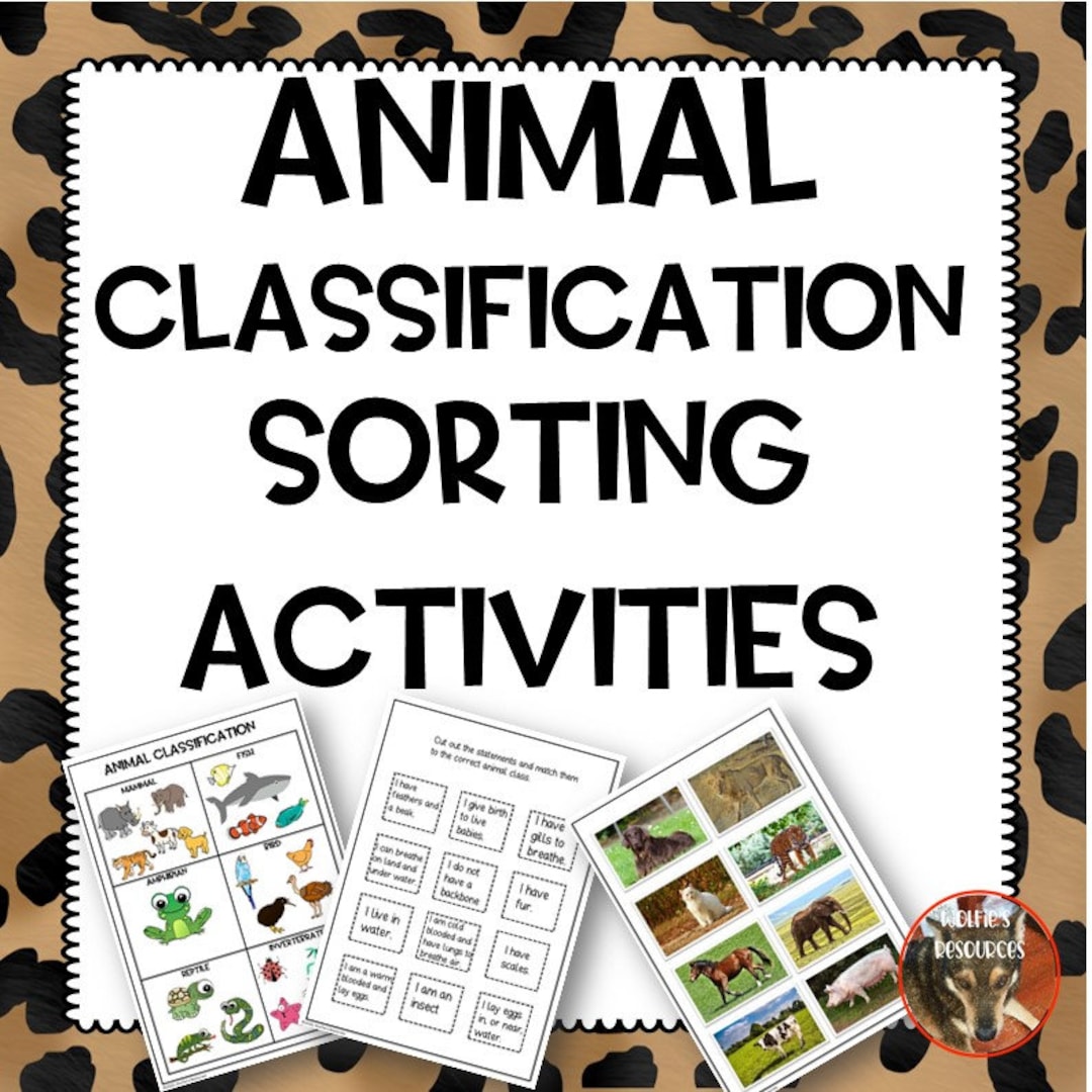 Animal Classification Activities - Etsy
