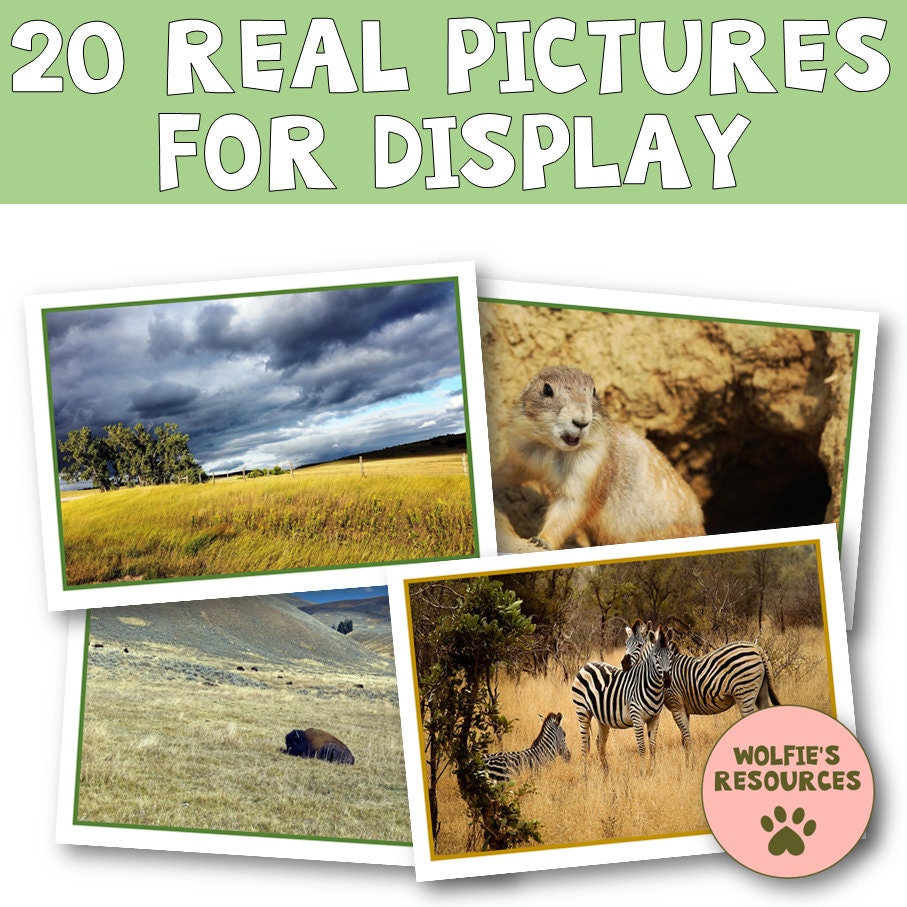 Grasslands Biome: Teaching Powerpoint & Activities (printable) - Etsy