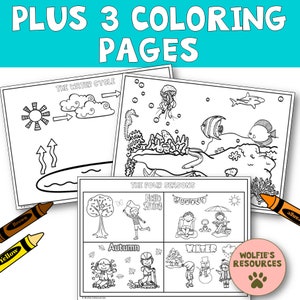 50 Science Printable Worksheets for First Grade and Homeschool - Etsy UK
