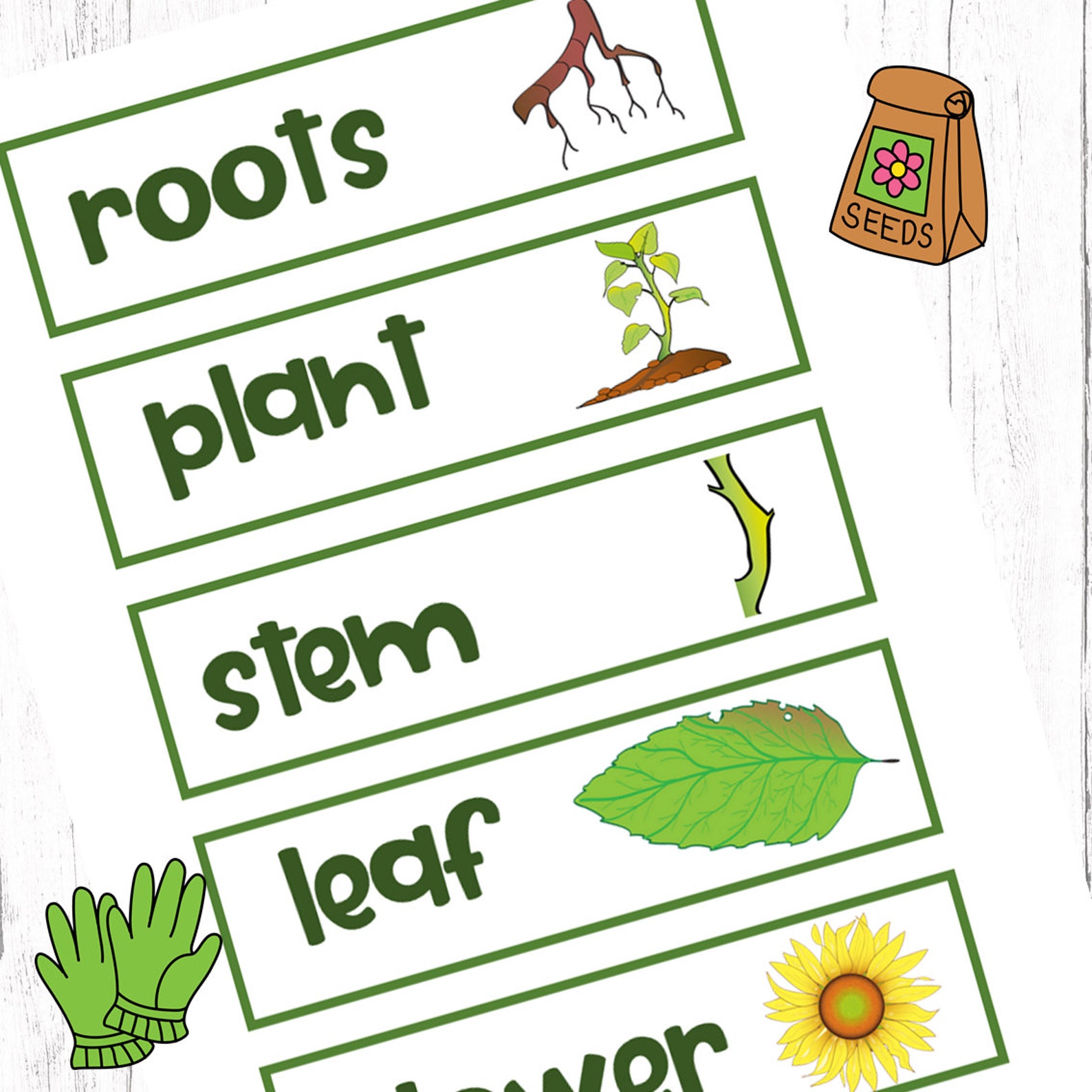 Plants Activities Etsy plants-activities-etsy