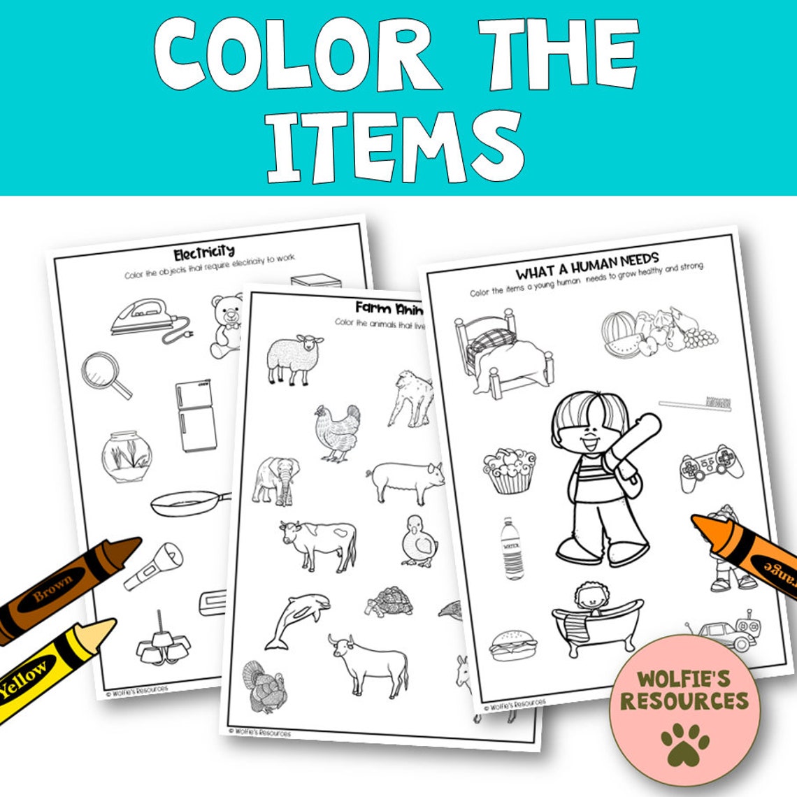 50 Science Printable Worksheets for First Grade and Homeschool - Etsy