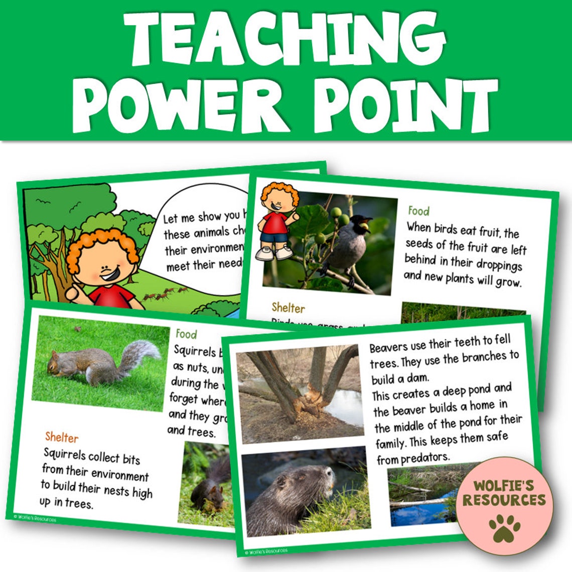 How Animals Change Their Environment - Etsy