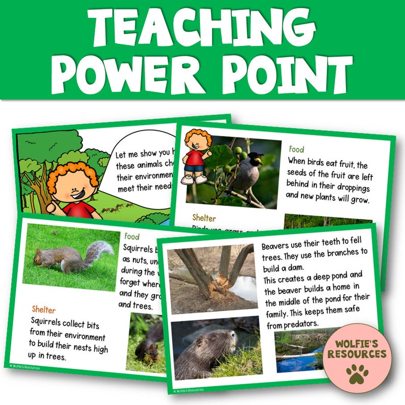 How Animals Change Their Environment - Etsy