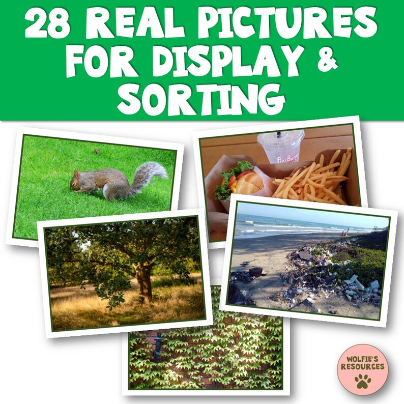 How Animals Change Their Environment - Etsy