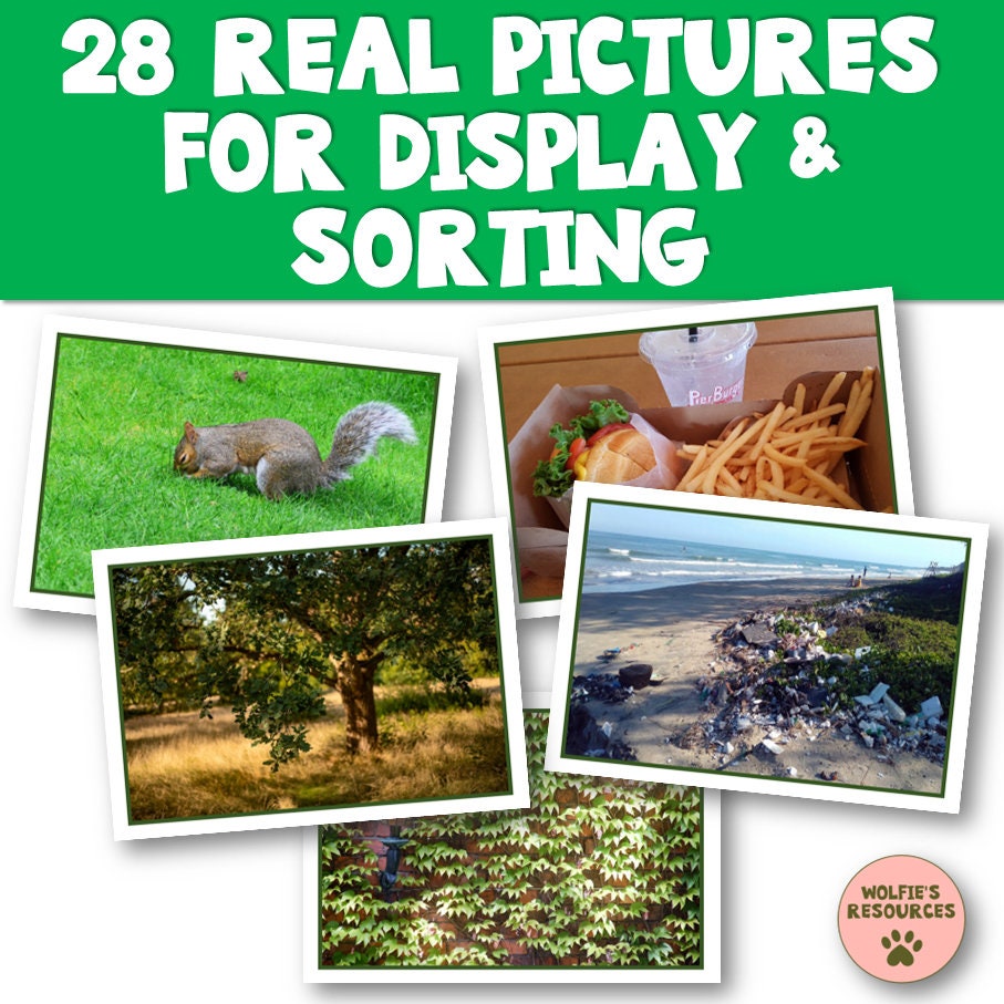 How Animals Change Their Environment - Etsy