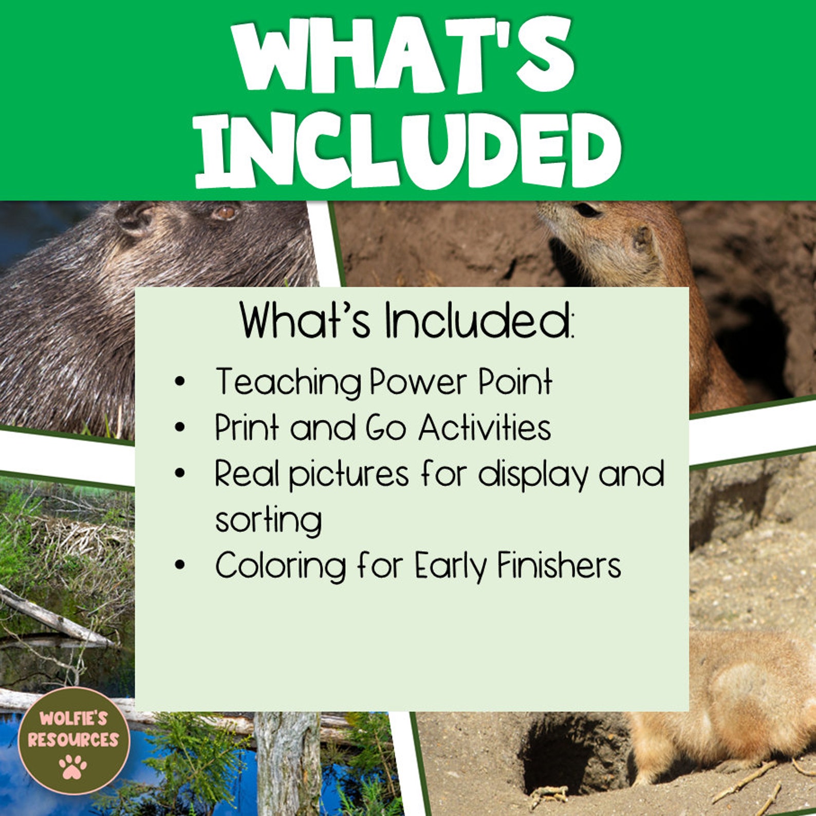 How Animals Change Their Environment - Etsy