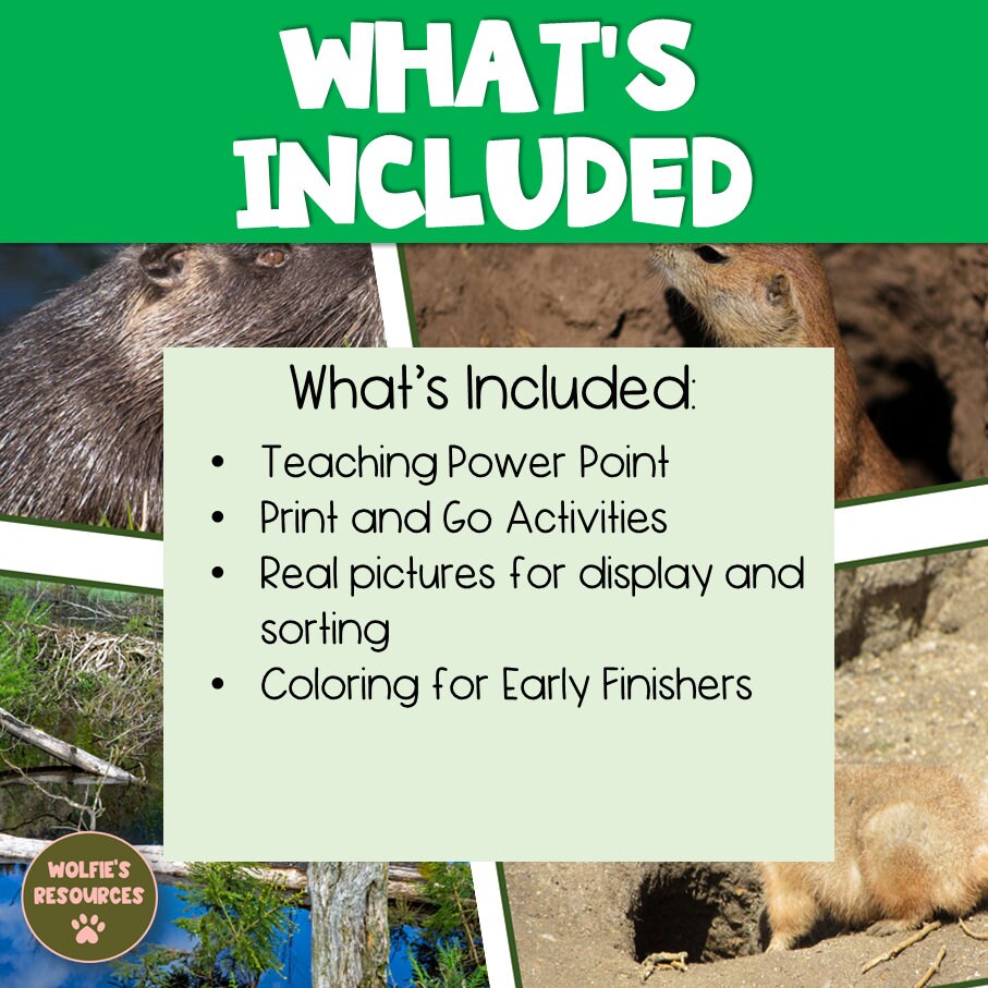 How Animals Change Their Environment - Etsy