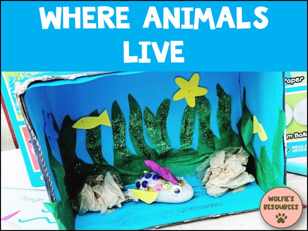 Animal Needs and Habitats - Etsy