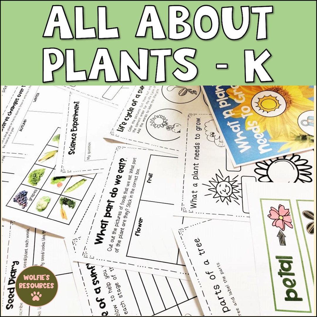Plants Worksheets Activities and Posters - Etsy
