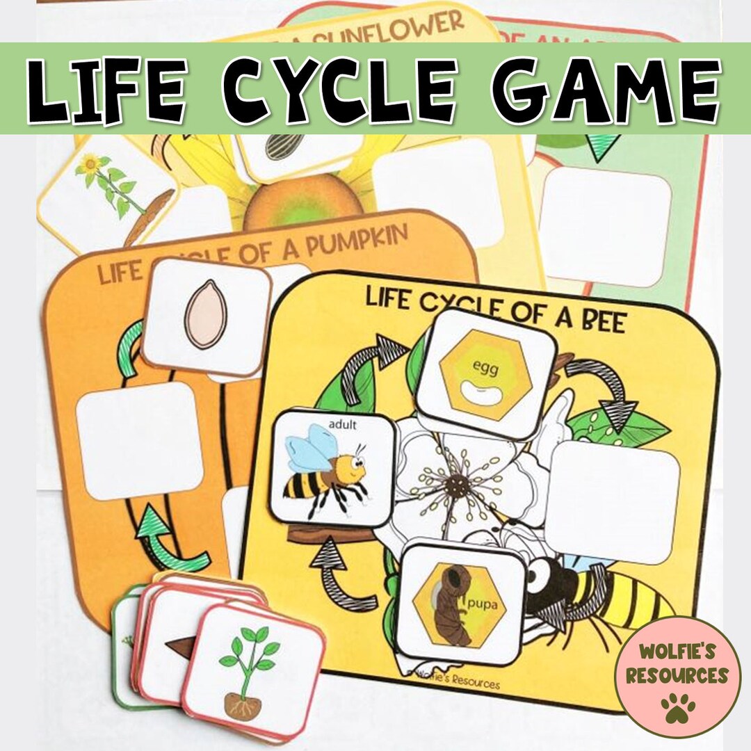 Life Cycle Game - Etsy