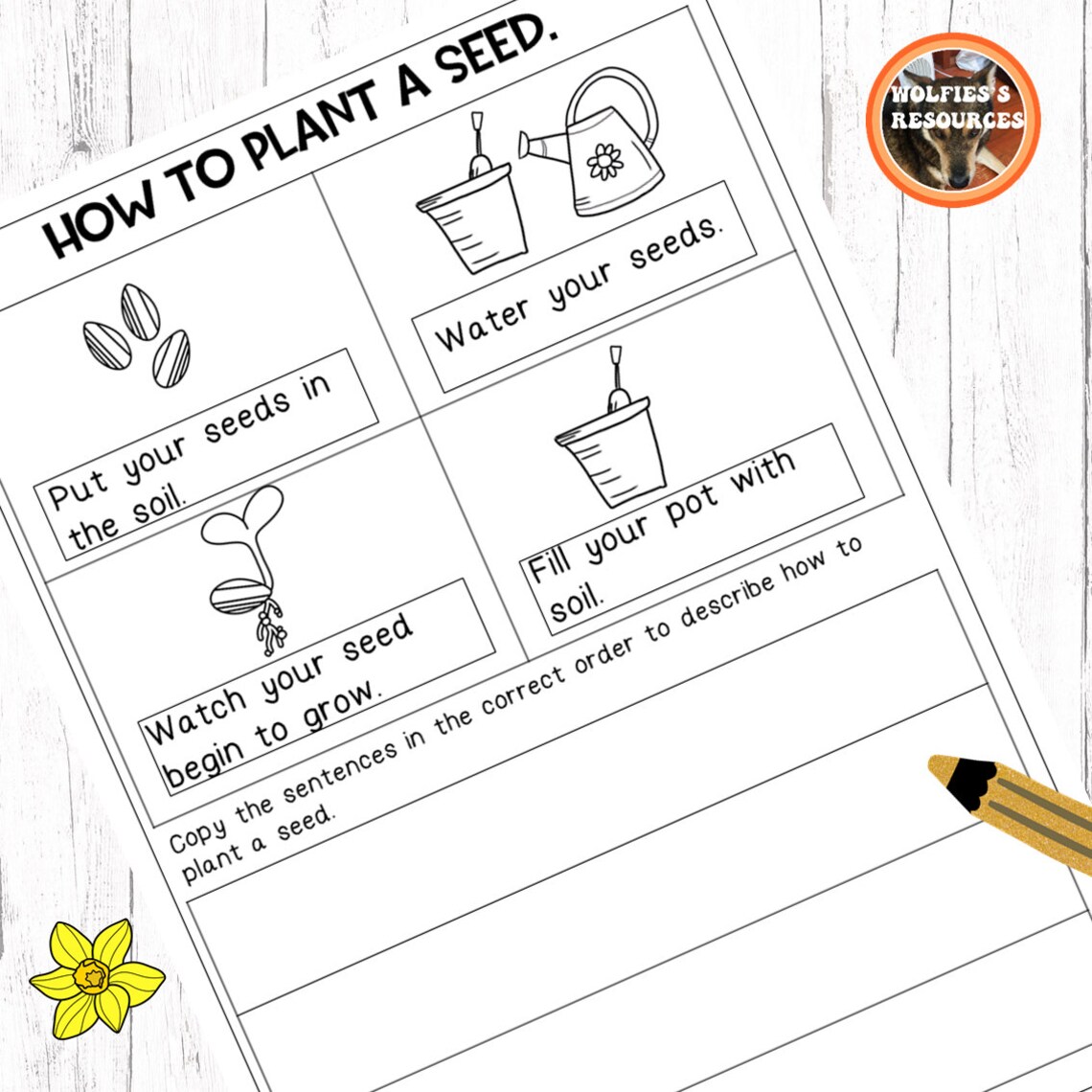 Spring Reading Comprehensions - Etsy