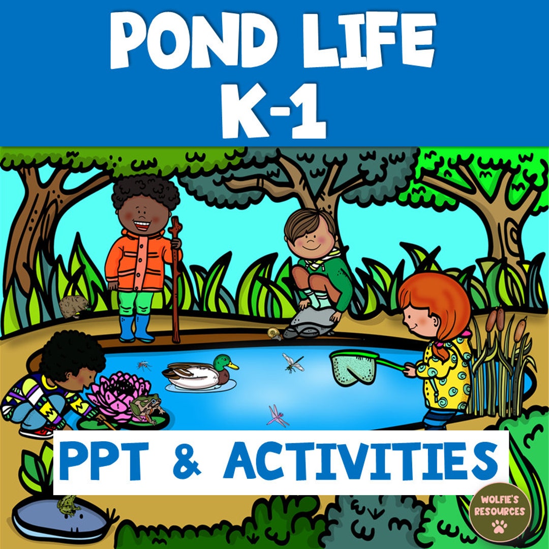 Pond Life Activities K-1 / KS1 - Etsy