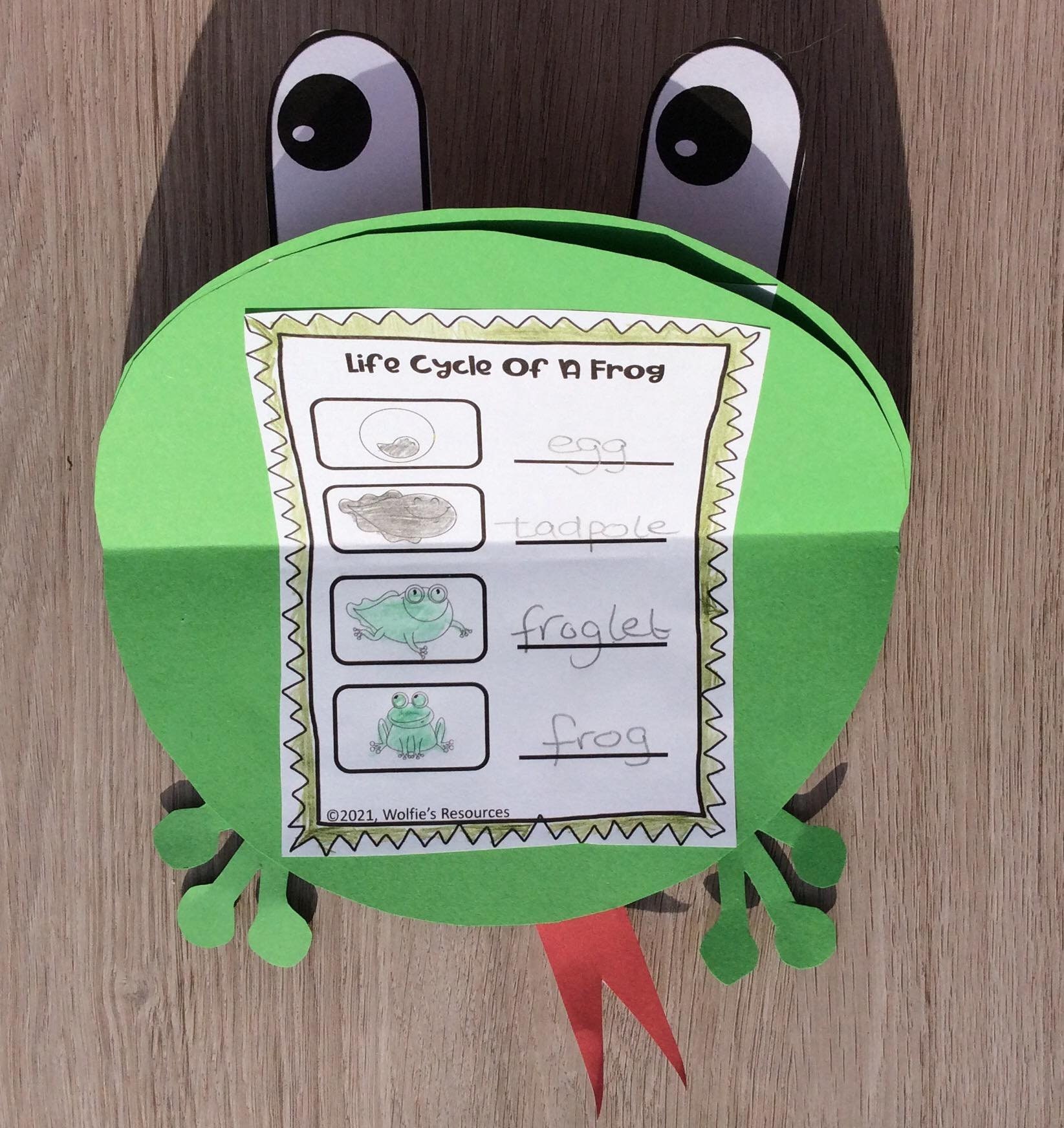 Hoja De Trabajo Para Recortar Y Pegar Del Ciclo De Vida De Una Rana