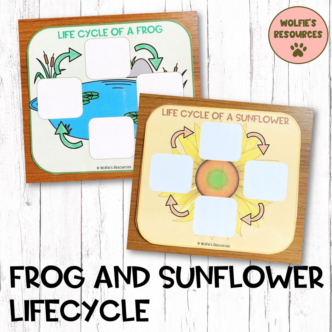 Life Cycle Game - Etsy