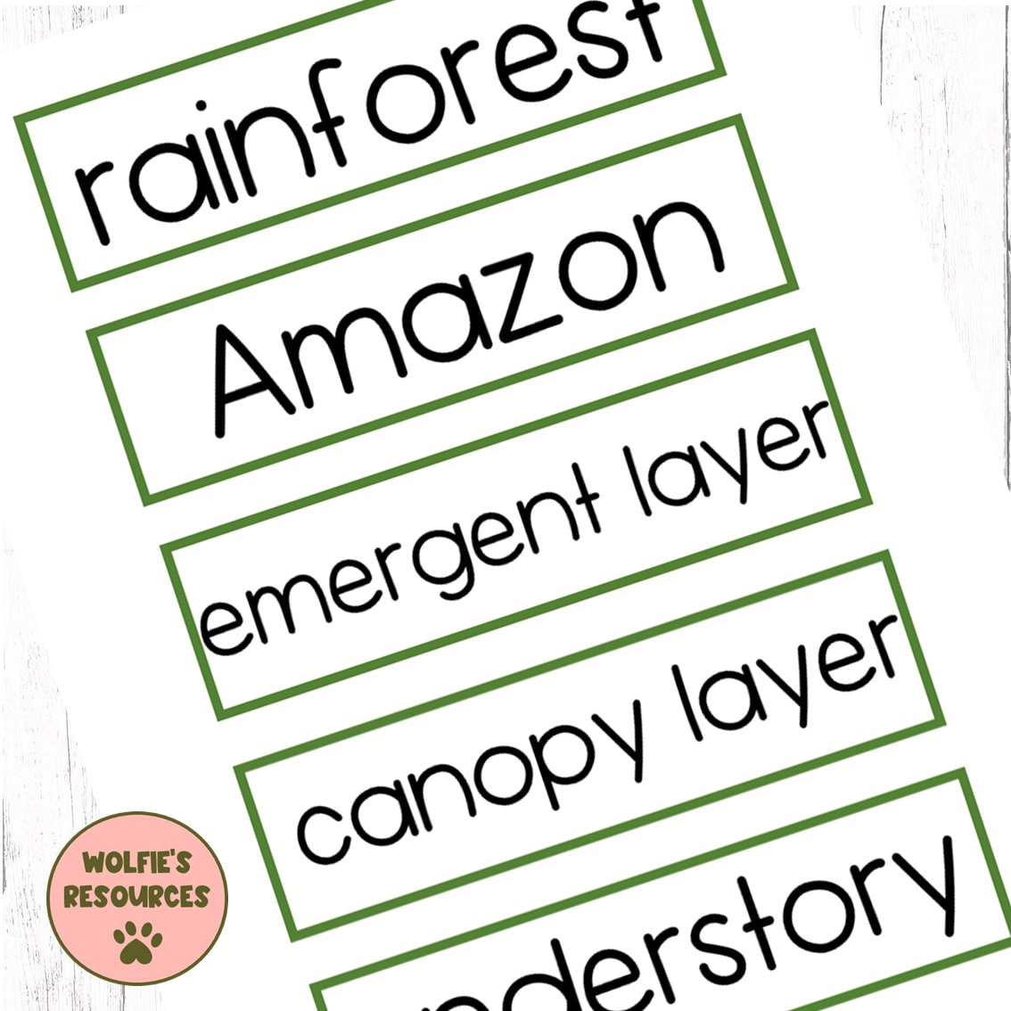 Rainforest Vocabulary Activities - Etsy