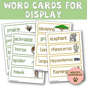 Grasslands Biome - Etsy