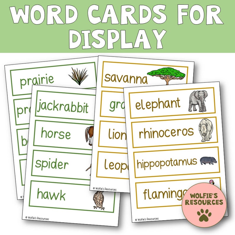 Grasslands Biome - Etsy