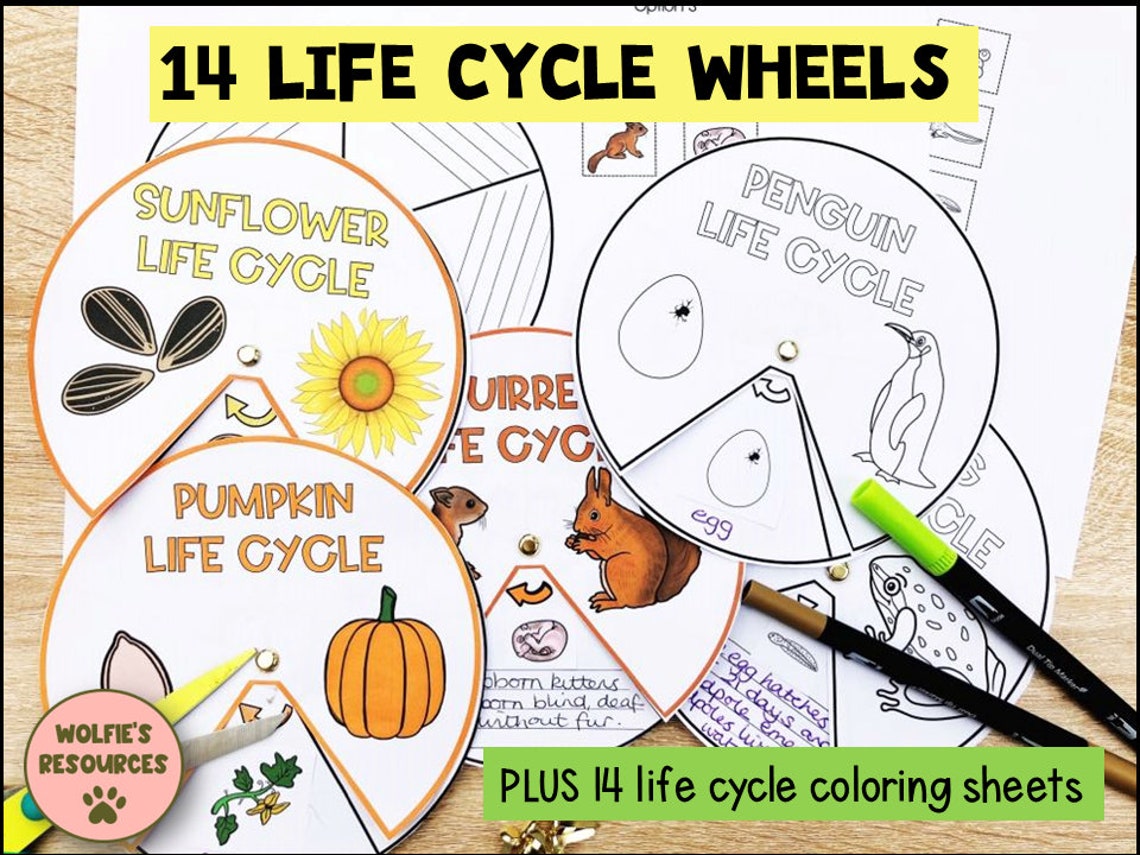 Life Cycle Wheels 14 Life Cycle Wheels - Etsy