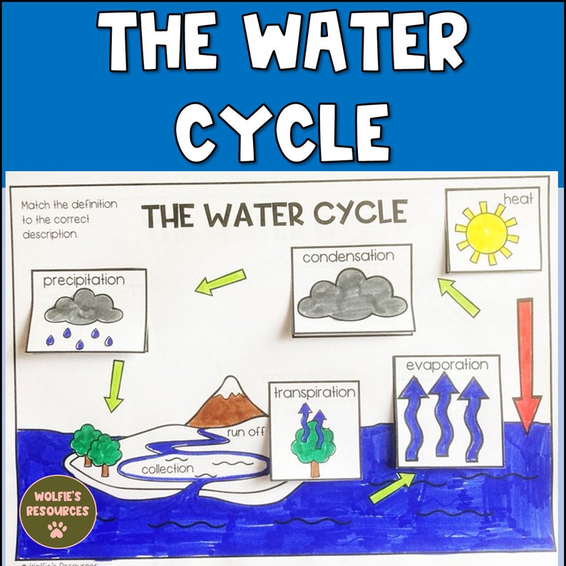 Water Cycle Diagram and Activity - Etsy