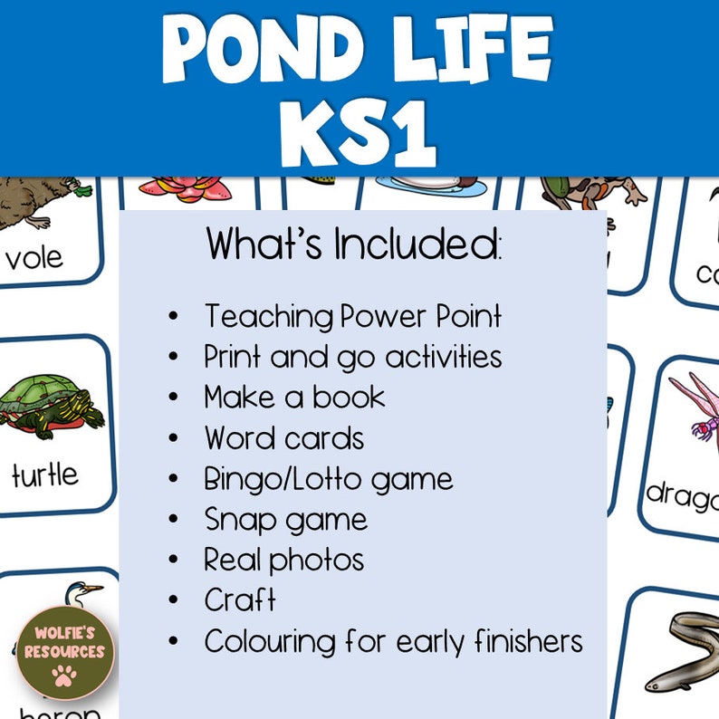 Pond Life Activities K-1 / KS1 - Etsy