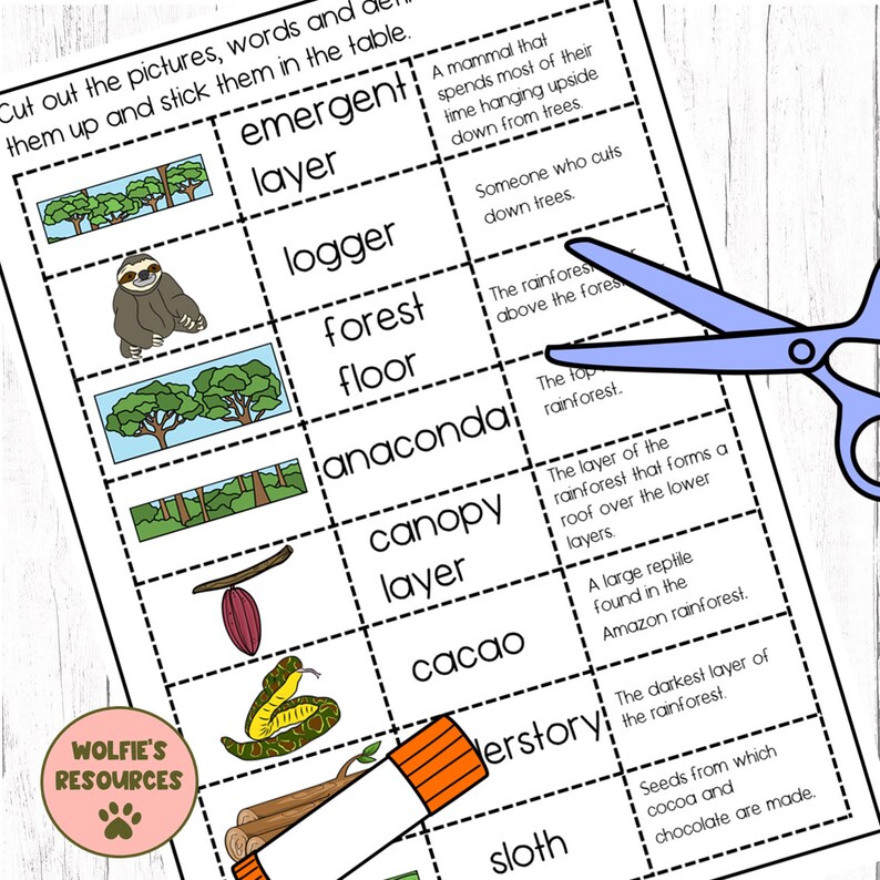 Rainforest Vocabulary Activities - Etsy