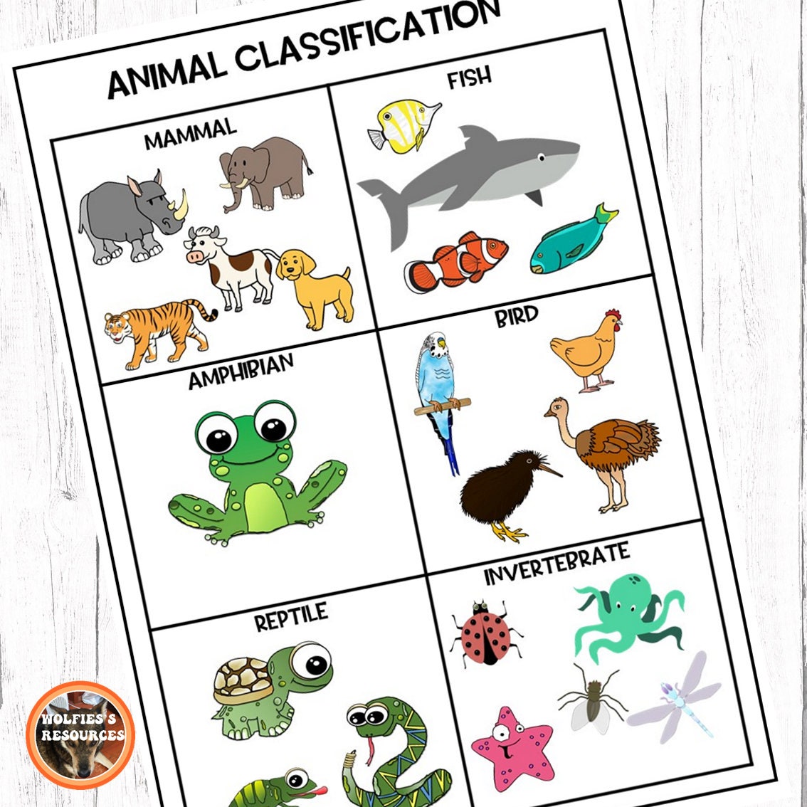 Animal Classification Activities - Etsy