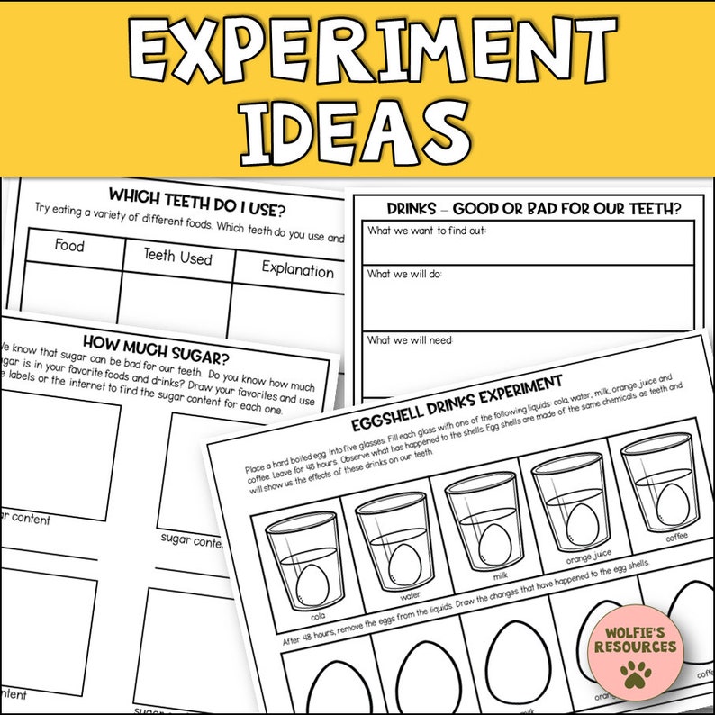 All About Teeth | Dental Care | Activities and Power Point - Etsy