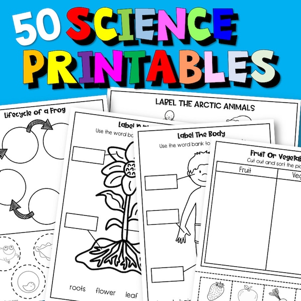 Worksheets for Kids - Etsy