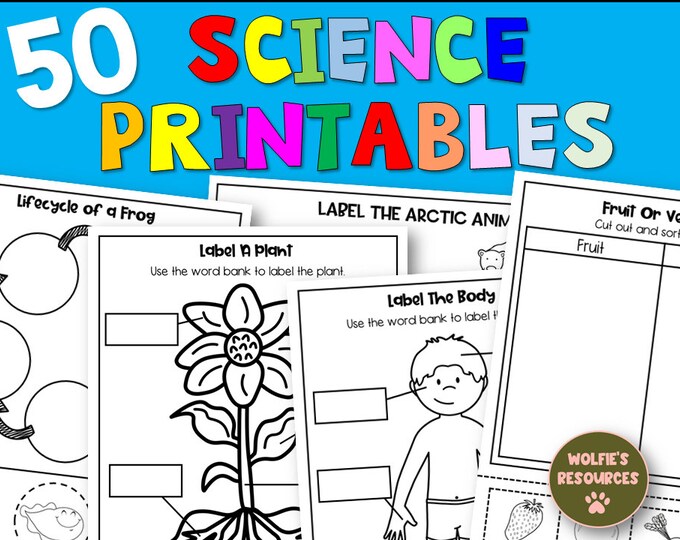 Science Activities : Weather Unit for Kindergarten First - Etsy Hong Kong