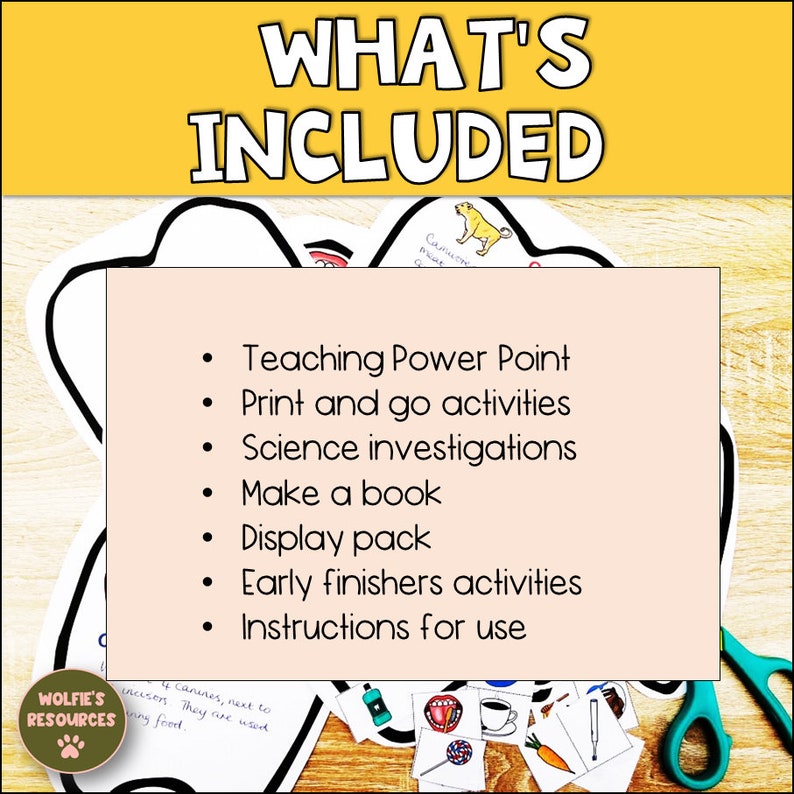 All About Teeth | Dental Care | Activities and Power Point - Etsy