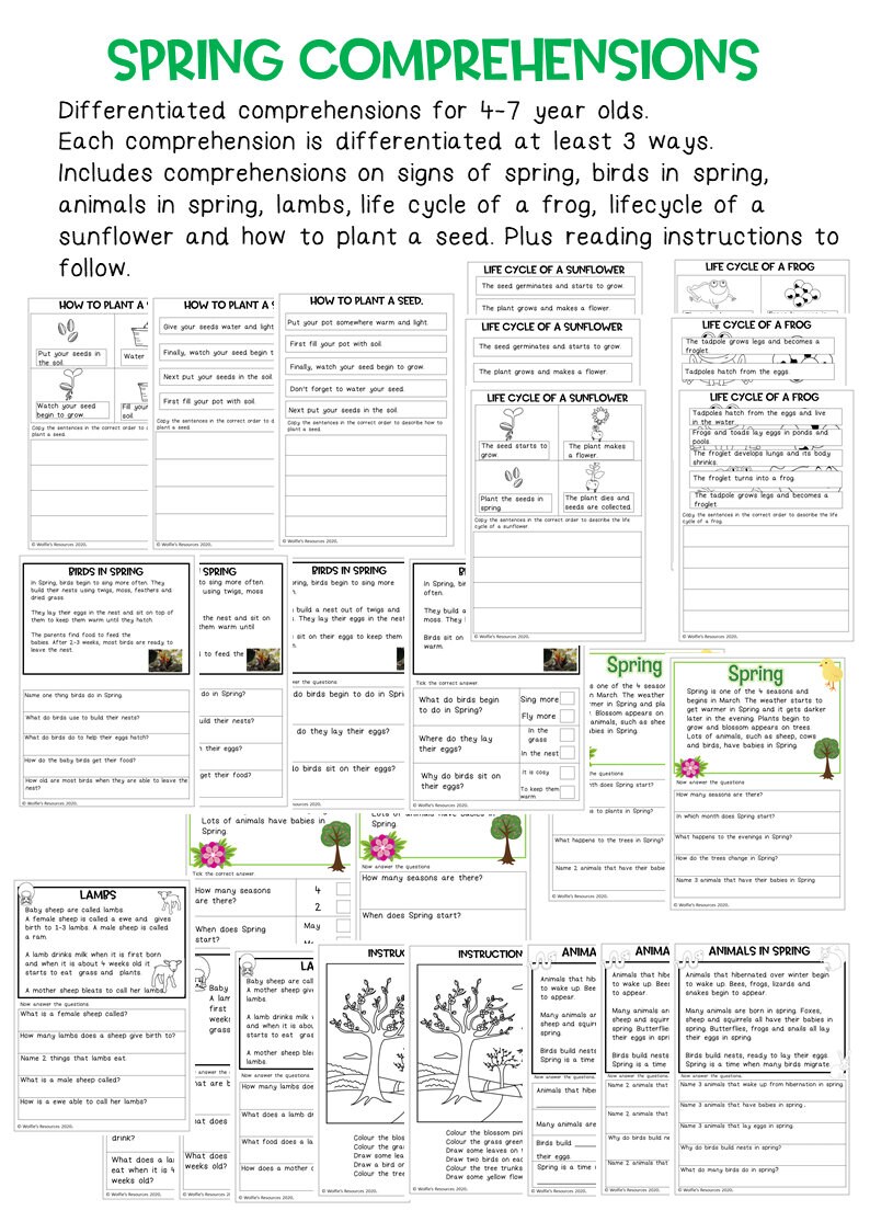 Spring Reading Comprehensions - Etsy