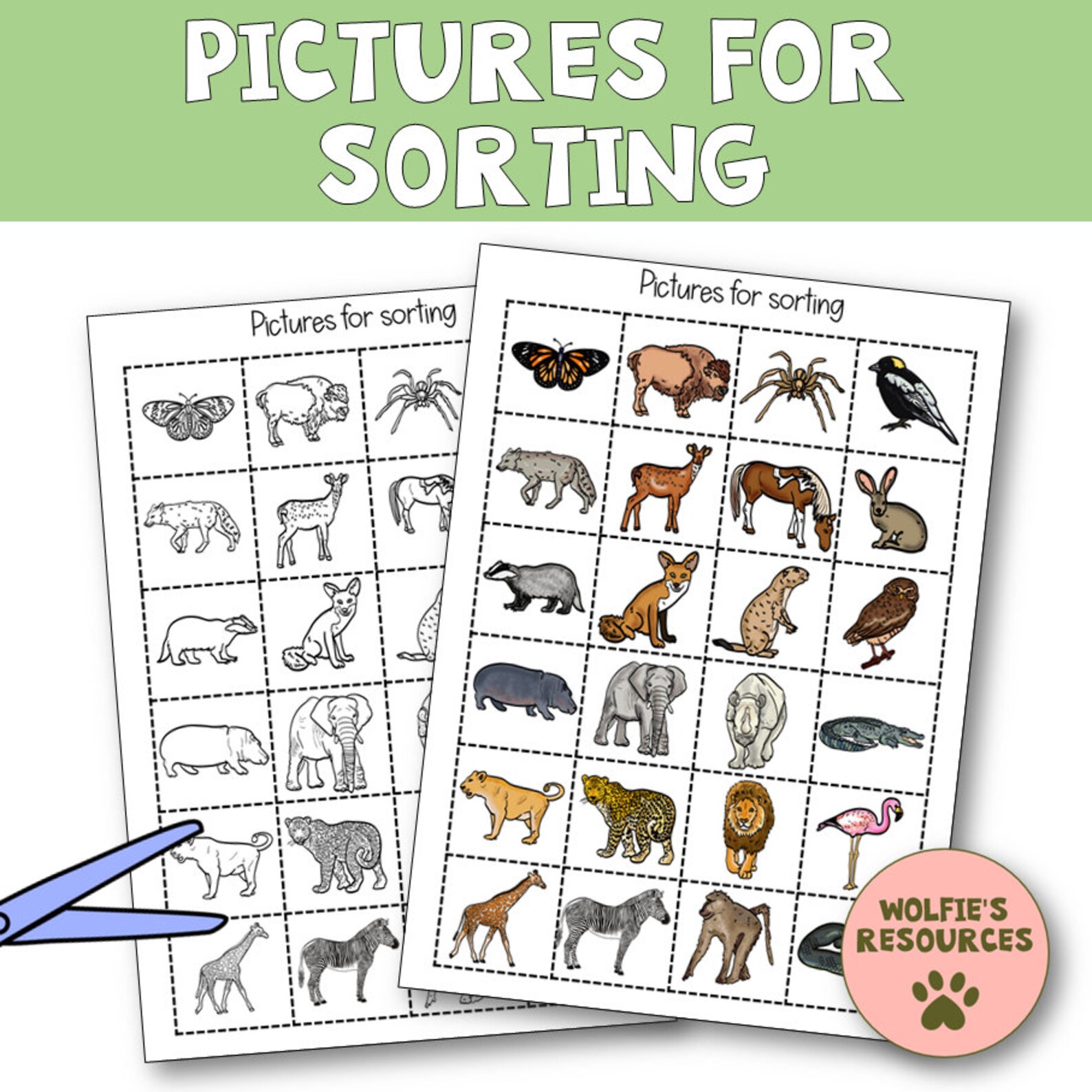 Grasslands Biome - Etsy