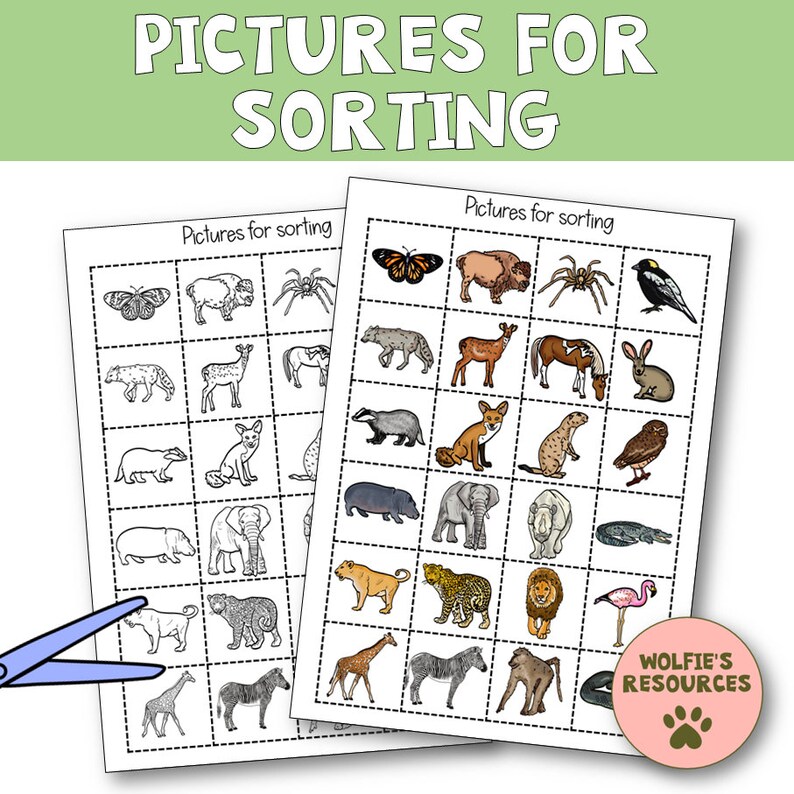 Grasslands Biome: Teaching Powerpoint & Activities (printable) - Etsy