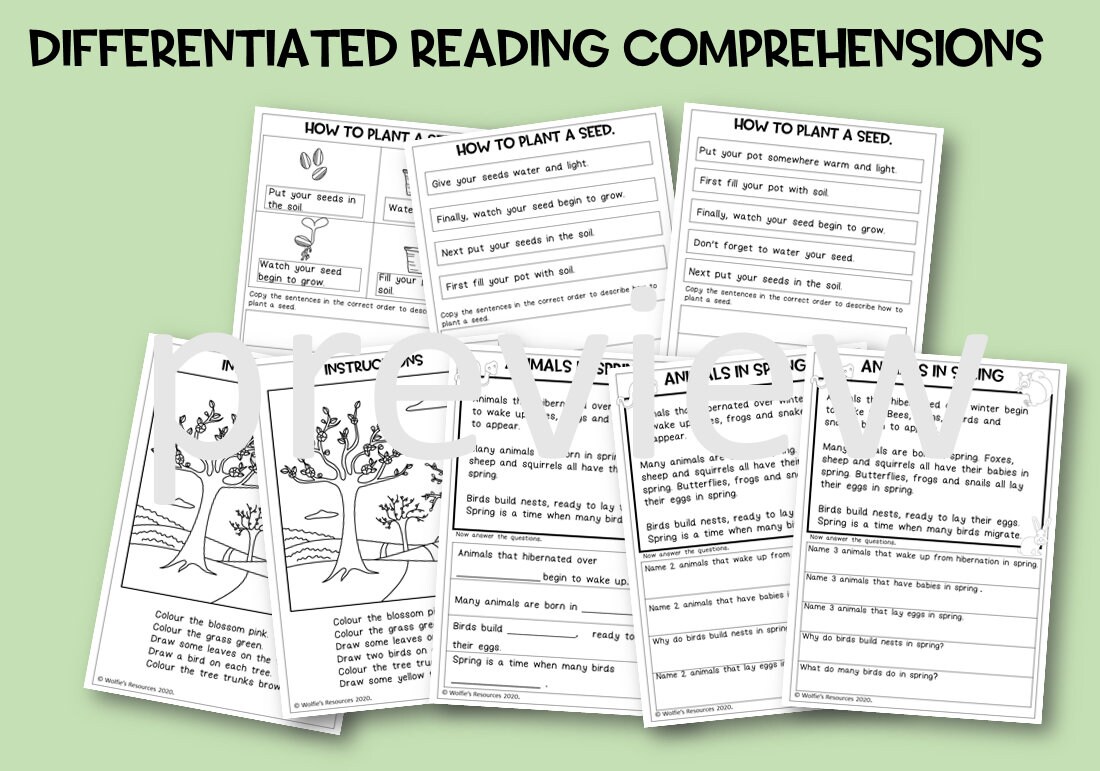 Spring Reading Comprehensions - Etsy