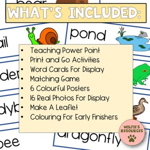 Animals and Habitats Activities, Printables, Worksheets, Posters ...