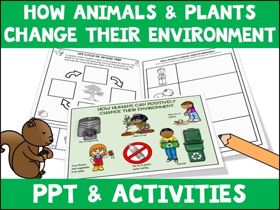 How Animals Change Their Environment - Etsy