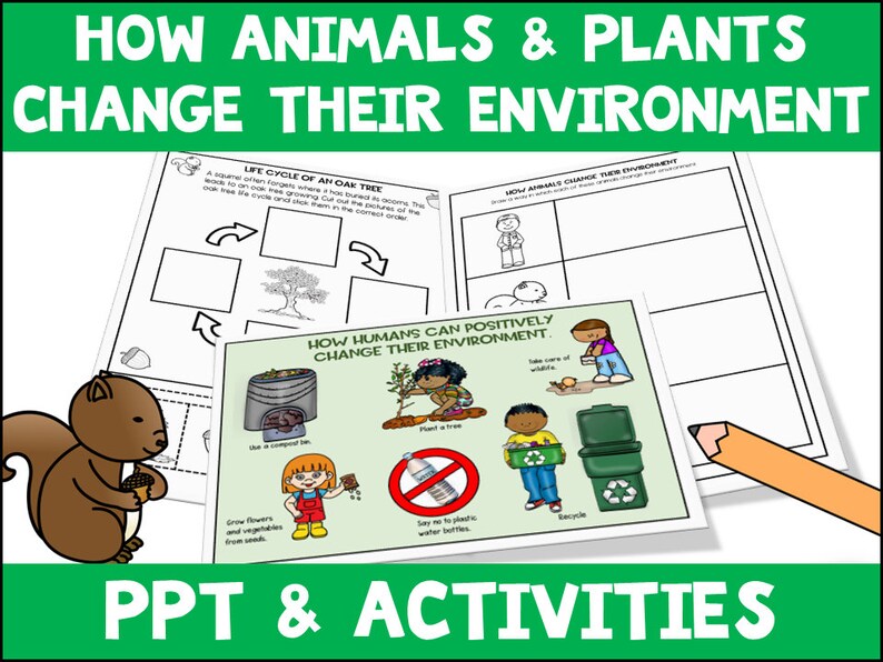 How Animals Change Their Environment - Etsy