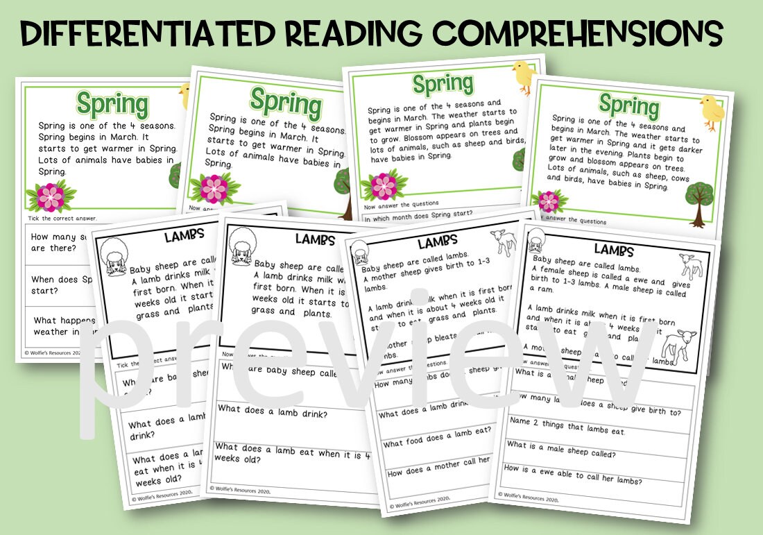 Spring Reading Comprehensions - Etsy