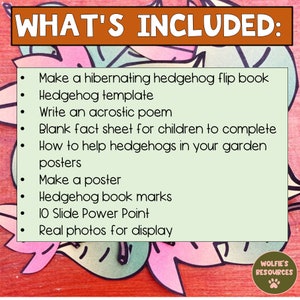 All About Hedgehogs for Preschool, Kindergarten, Homeschool - Etsy