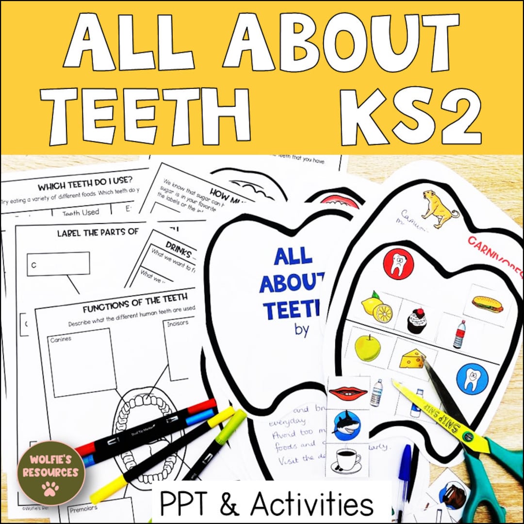 All About Teeth | Dental Care | Activities and Power Point - Etsy