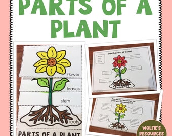 Parts of Plant Plant Life Cycle Plant Activity Nature - Etsy