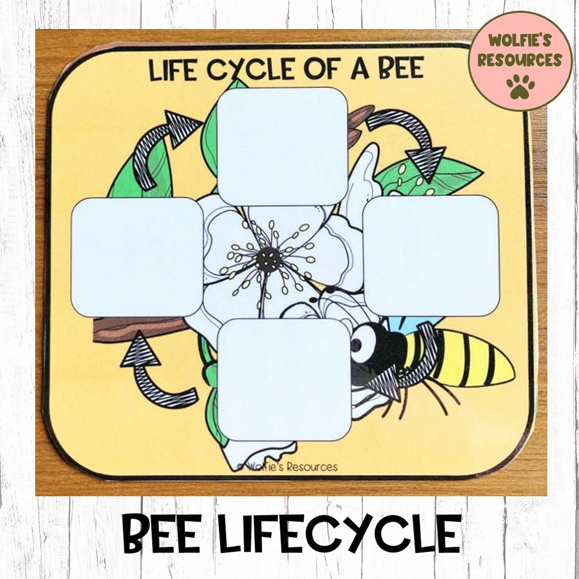 Life Cycle Game - Etsy
