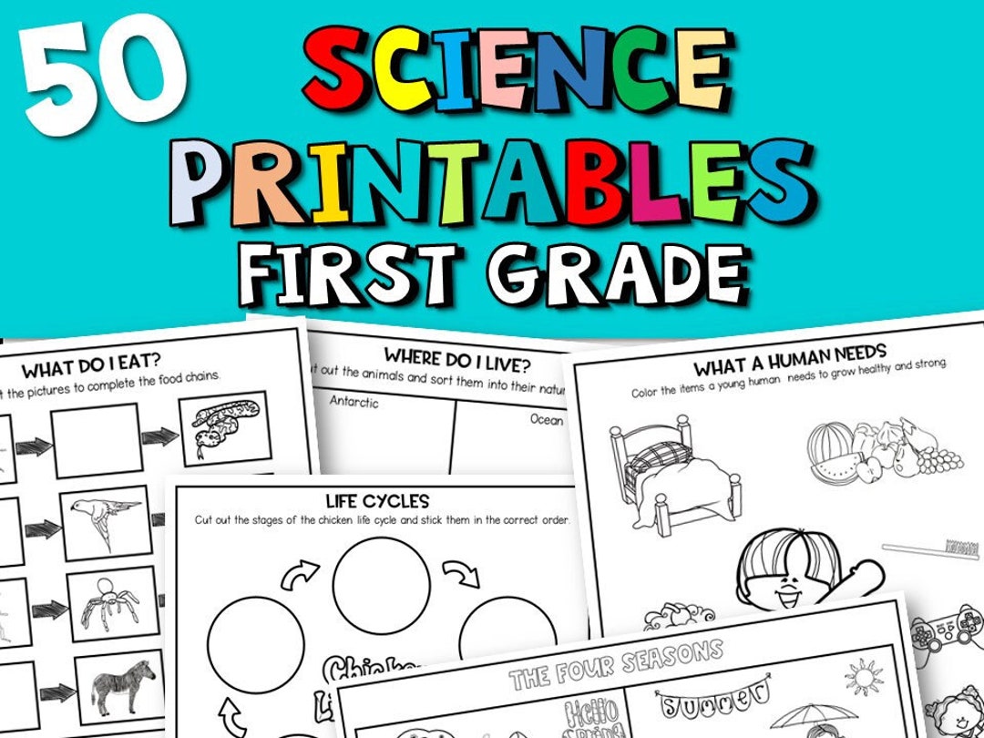 50 Science Printable Worksheets for First Grade - Etsy UK