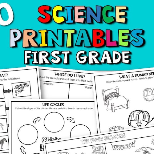 50 Science Printable Worksheets for First Grade - Etsy