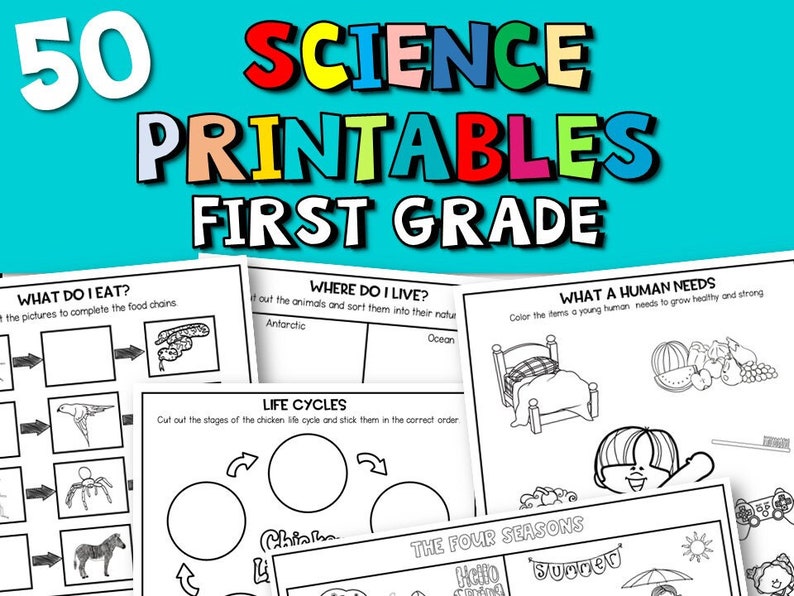 50 Science Printable Worksheets for First Grade - Etsy UK