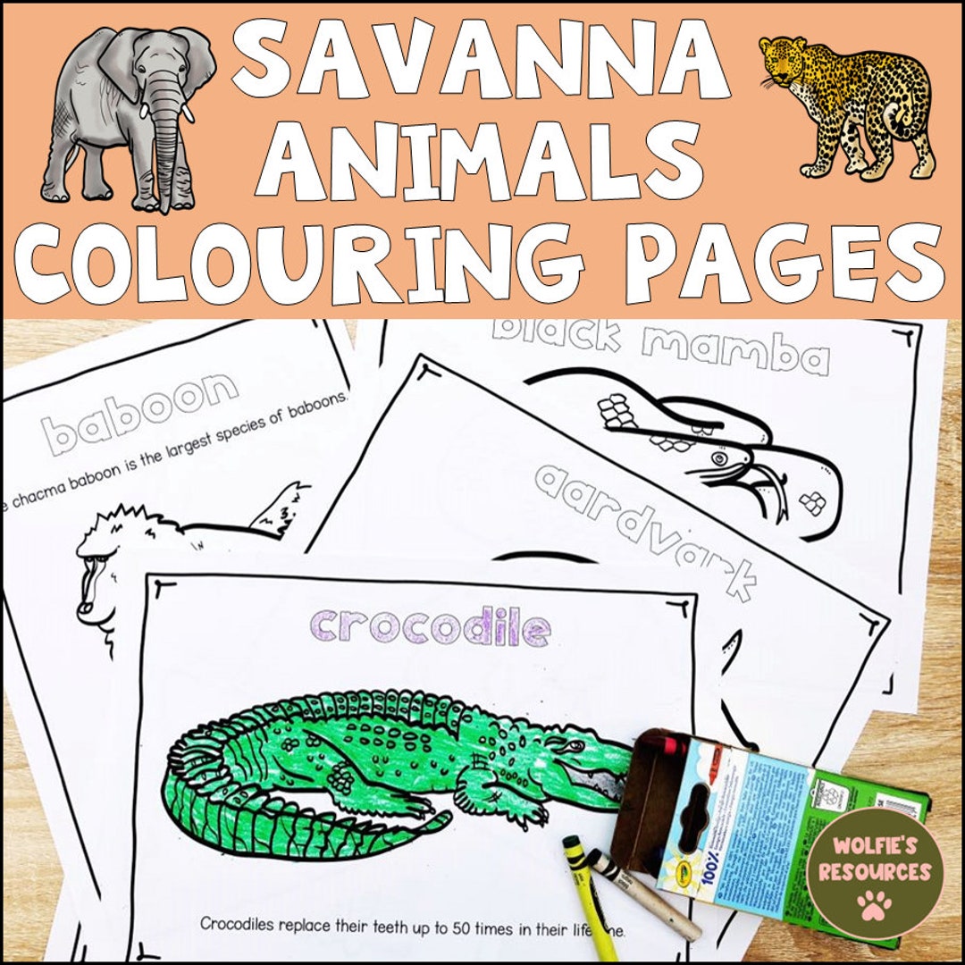 Animals of the African Savanna Coloring Pages - Etsy