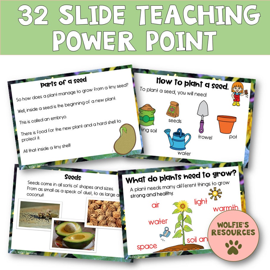 Plants Activities and Power Point Year 2 - Etsy
