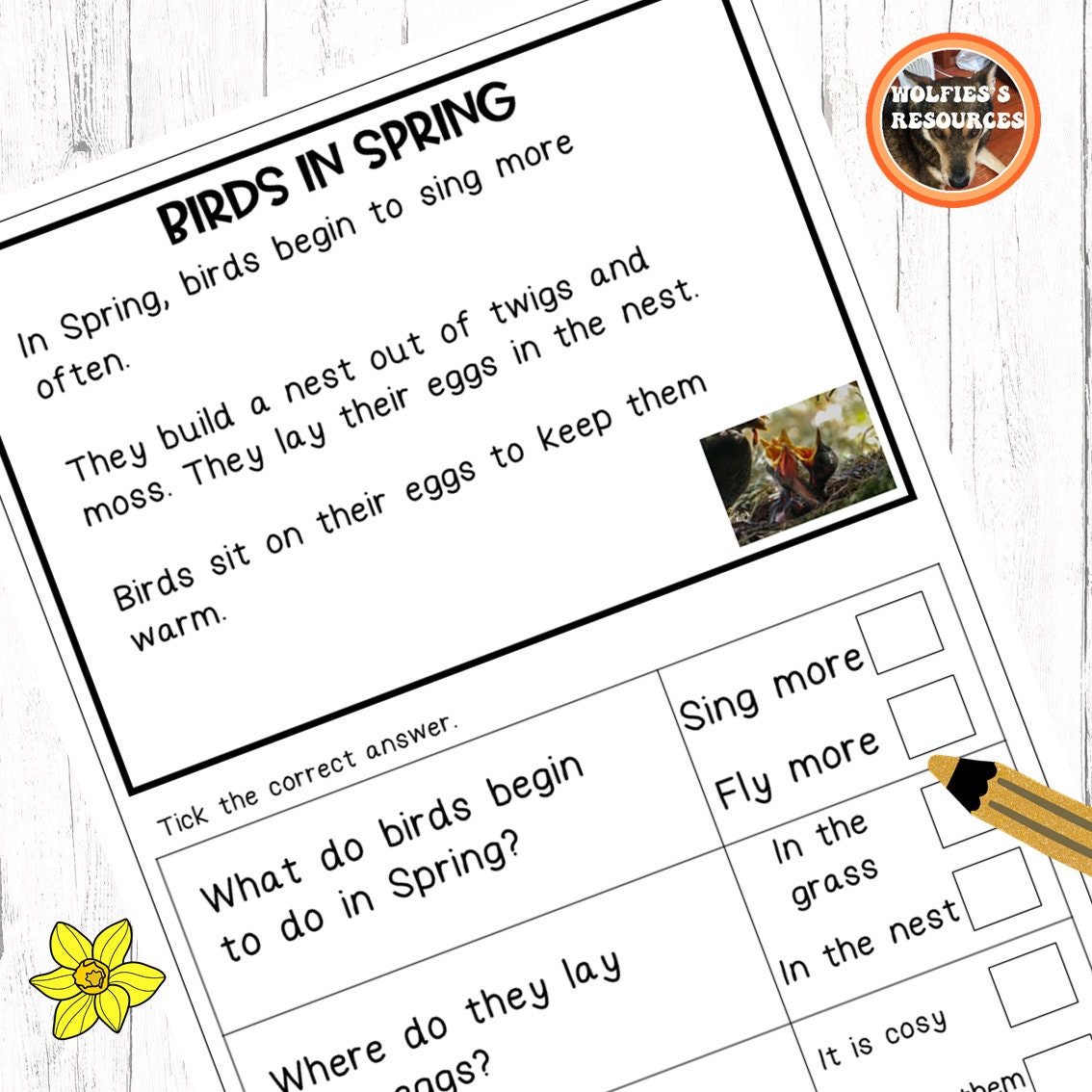 Spring Reading Comprehensions - Etsy