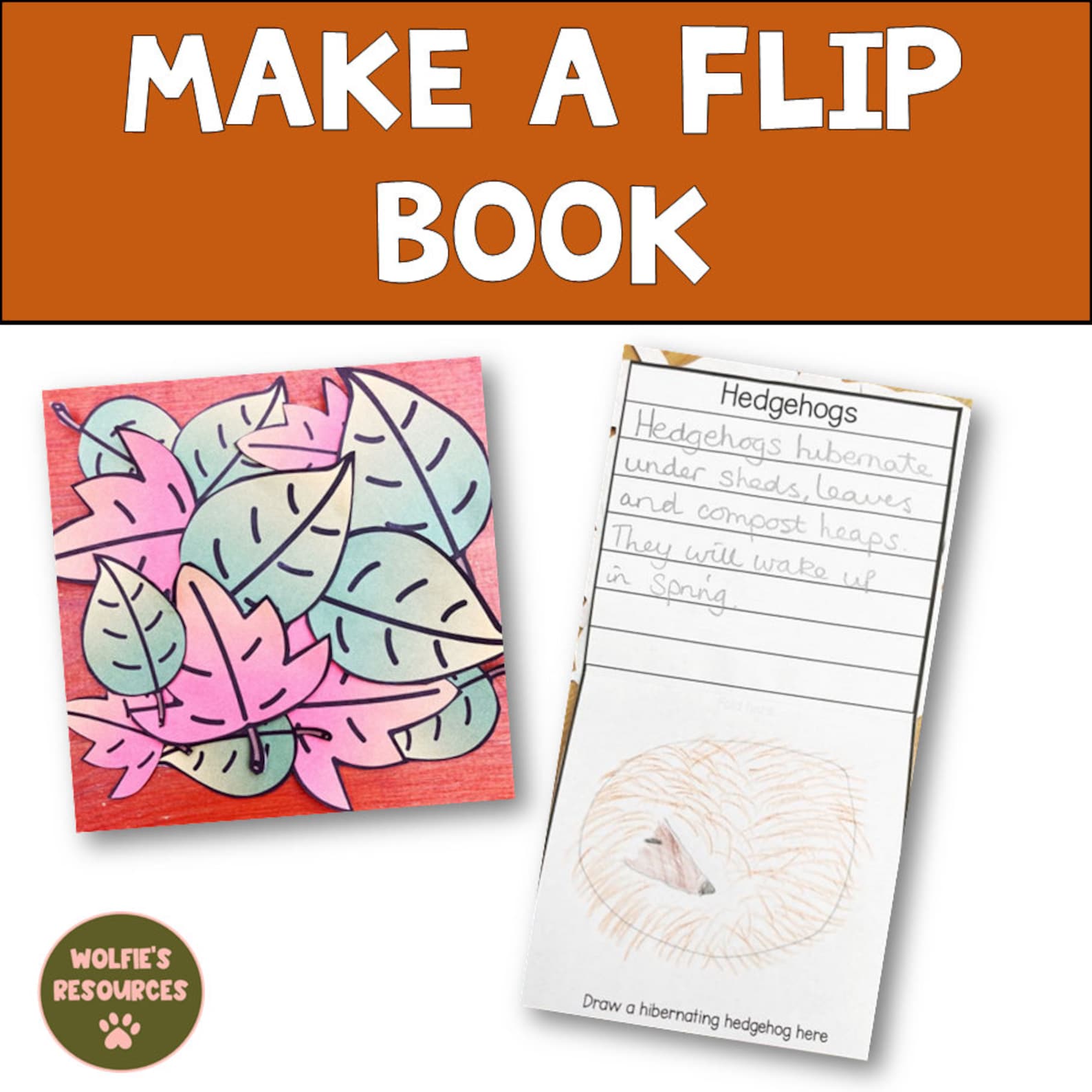 All About Hedgehogs - Etsy