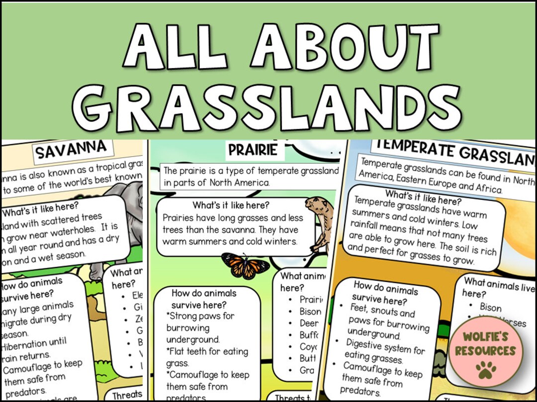 Grasslands Biome - Etsy
